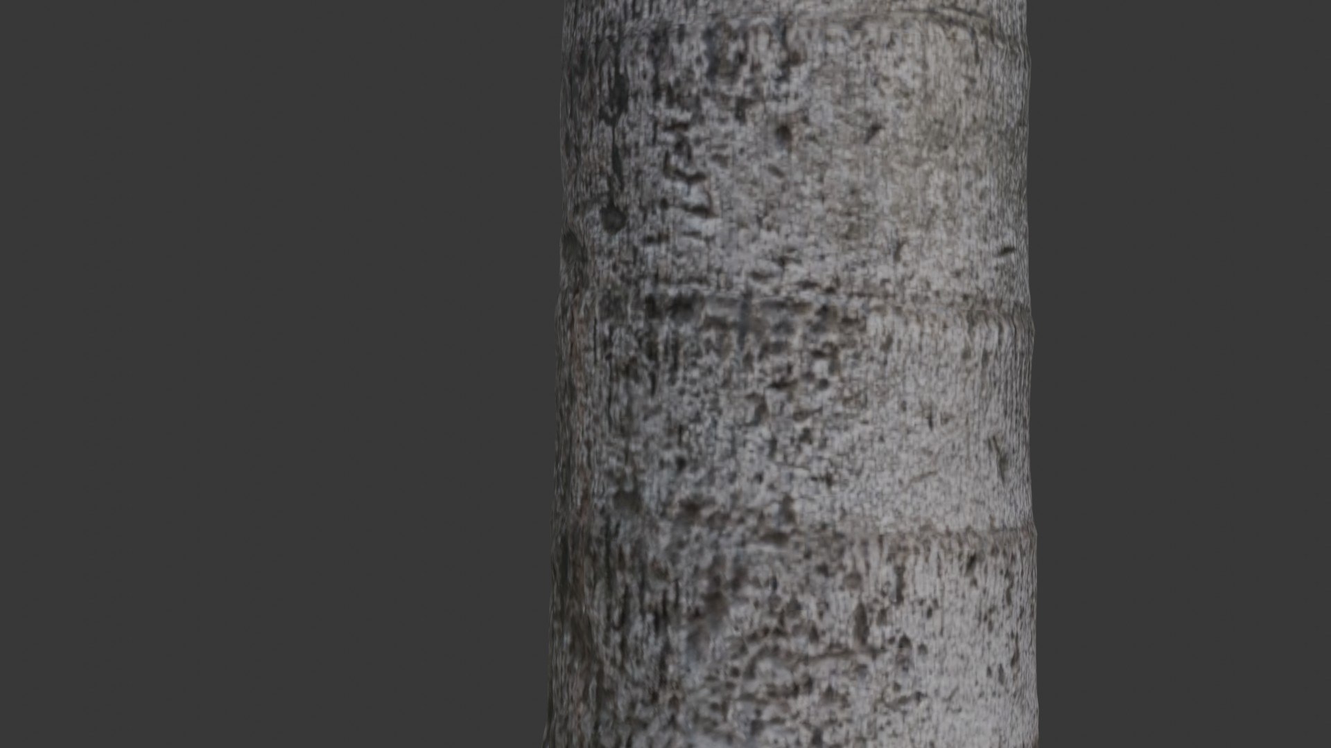 3D Model Realistic 3D Scanned Palm Tree Trunks - TurboSquid 2395529