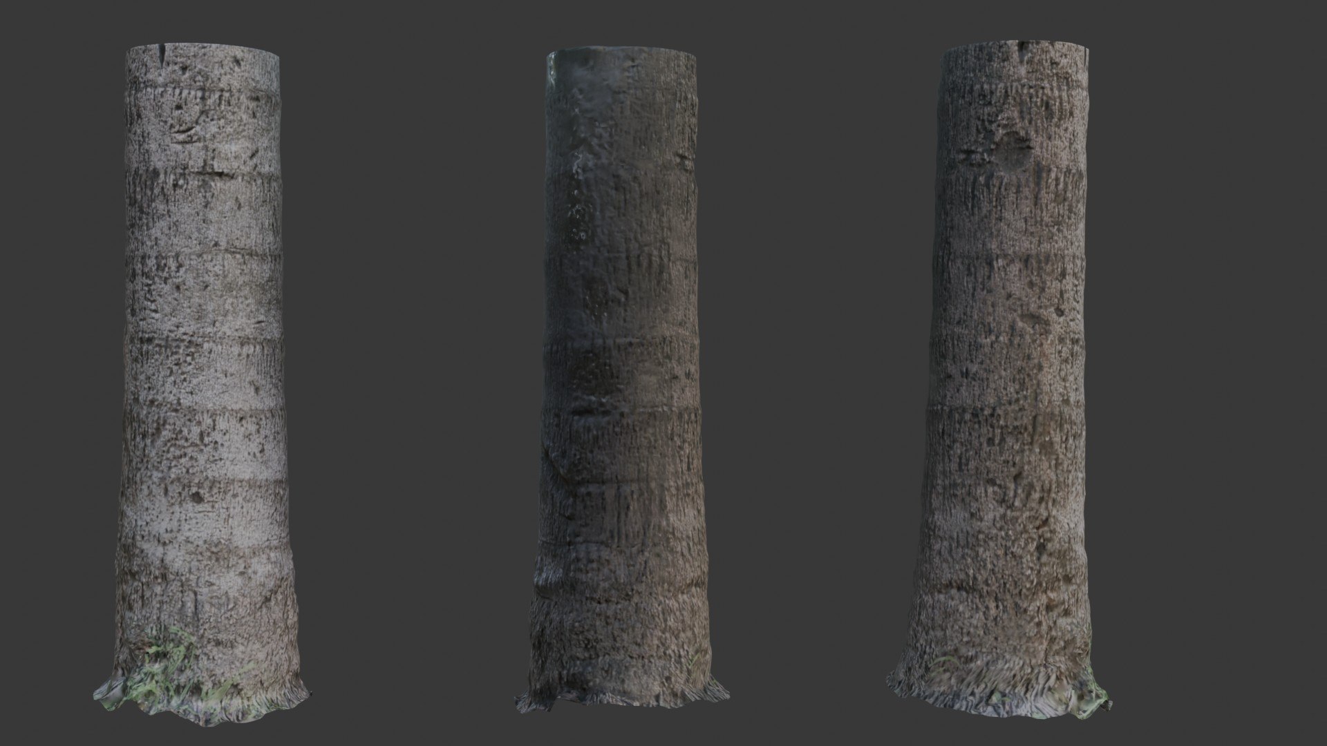3D Model Realistic 3D Scanned Palm Tree Trunks - TurboSquid 2395529