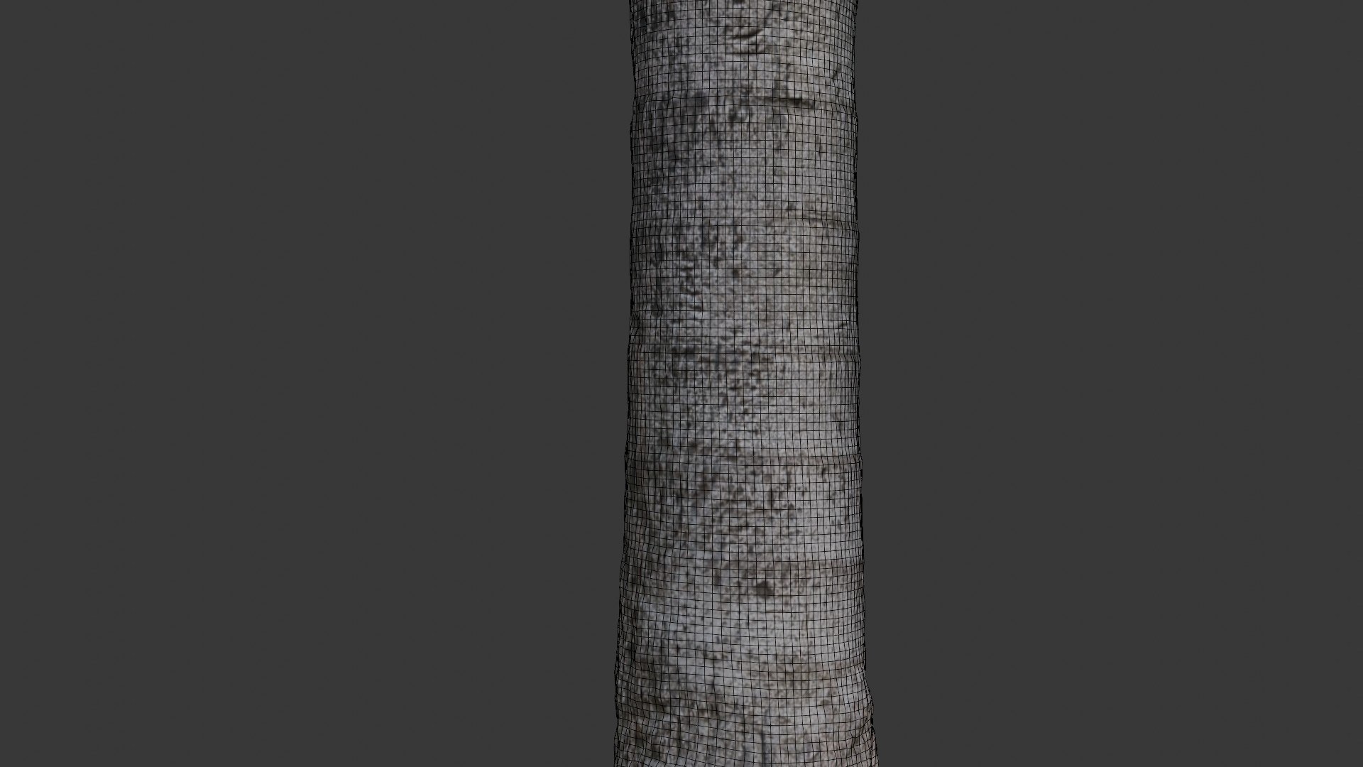 3D Model Realistic 3D Scanned Palm Tree Trunks - TurboSquid 2395529