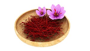 3D Saffron Models | TurboSquid