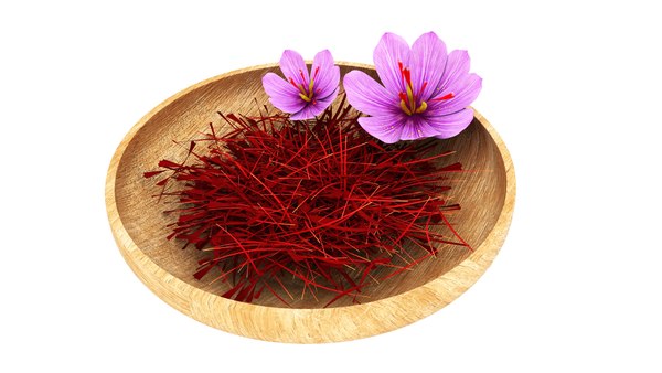 3D Saffron Models | TurboSquid