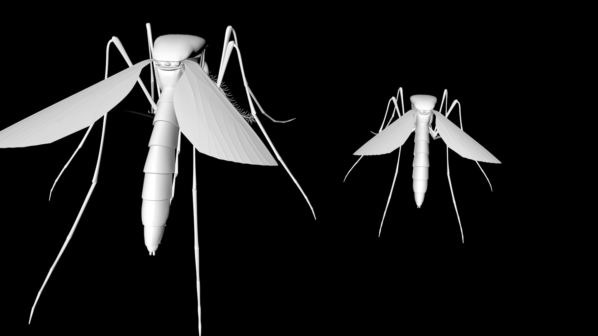 Mosquito insect bug 3D model - TurboSquid 1689577