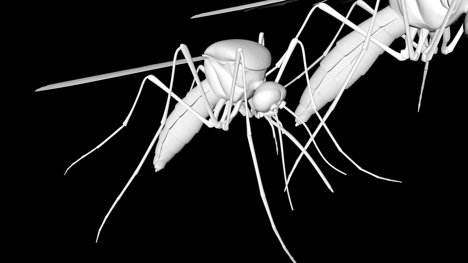 Mosquito insect bug 3D model - TurboSquid 1689577