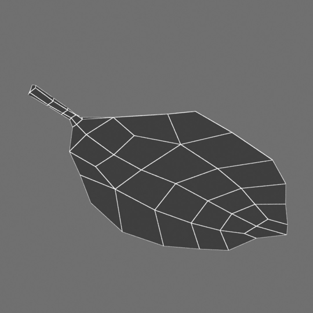 3d Leaf 02