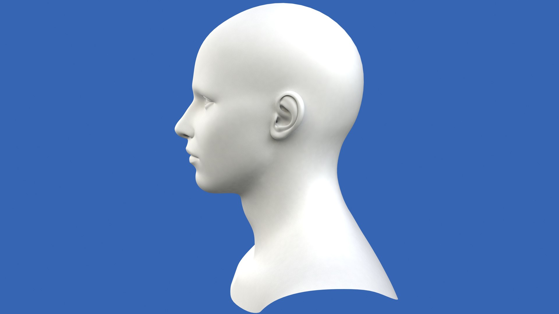 Realistic Man Head Model 3D Model - TurboSquid 1951102