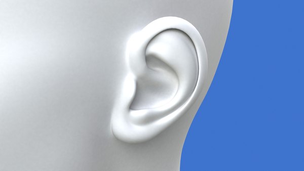 Realistic Man Head Model3D模型 - TurboSquid 1951102