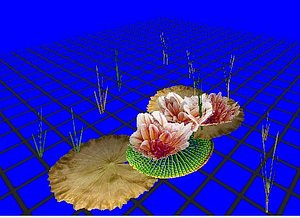 3D Lilypad Models | TurboSquid