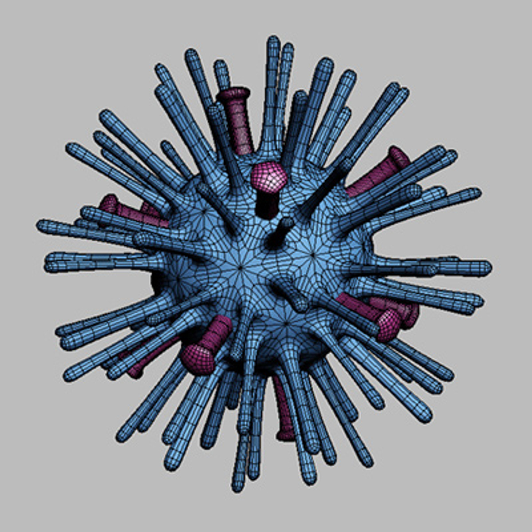 avian flu virus 3d model
