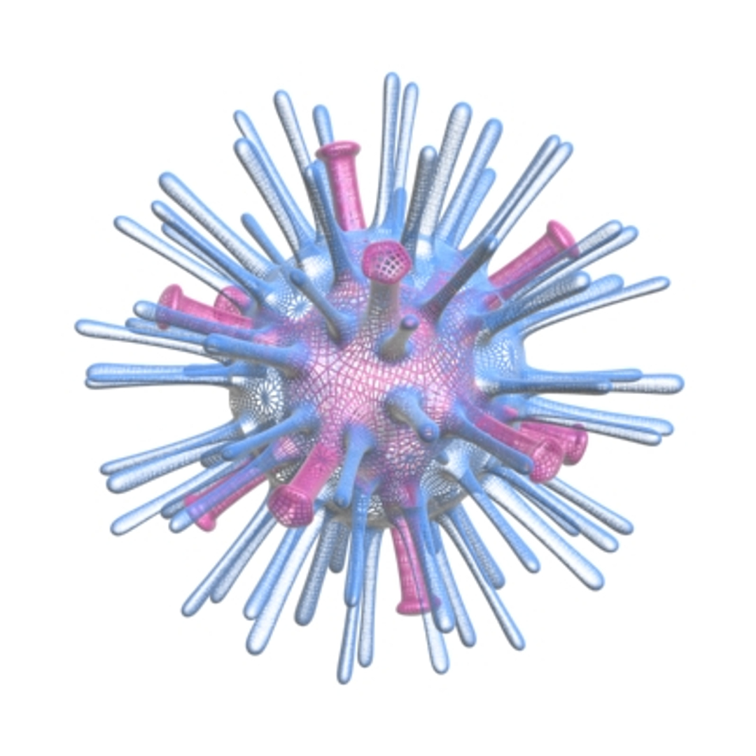 avian flu virus 3d model