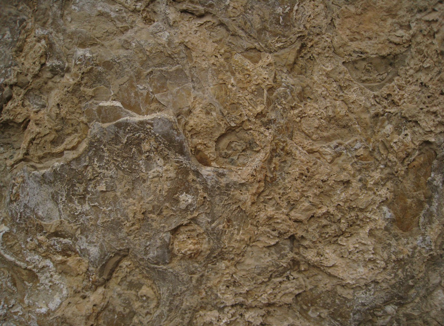 Free Stone Rock 3d Model