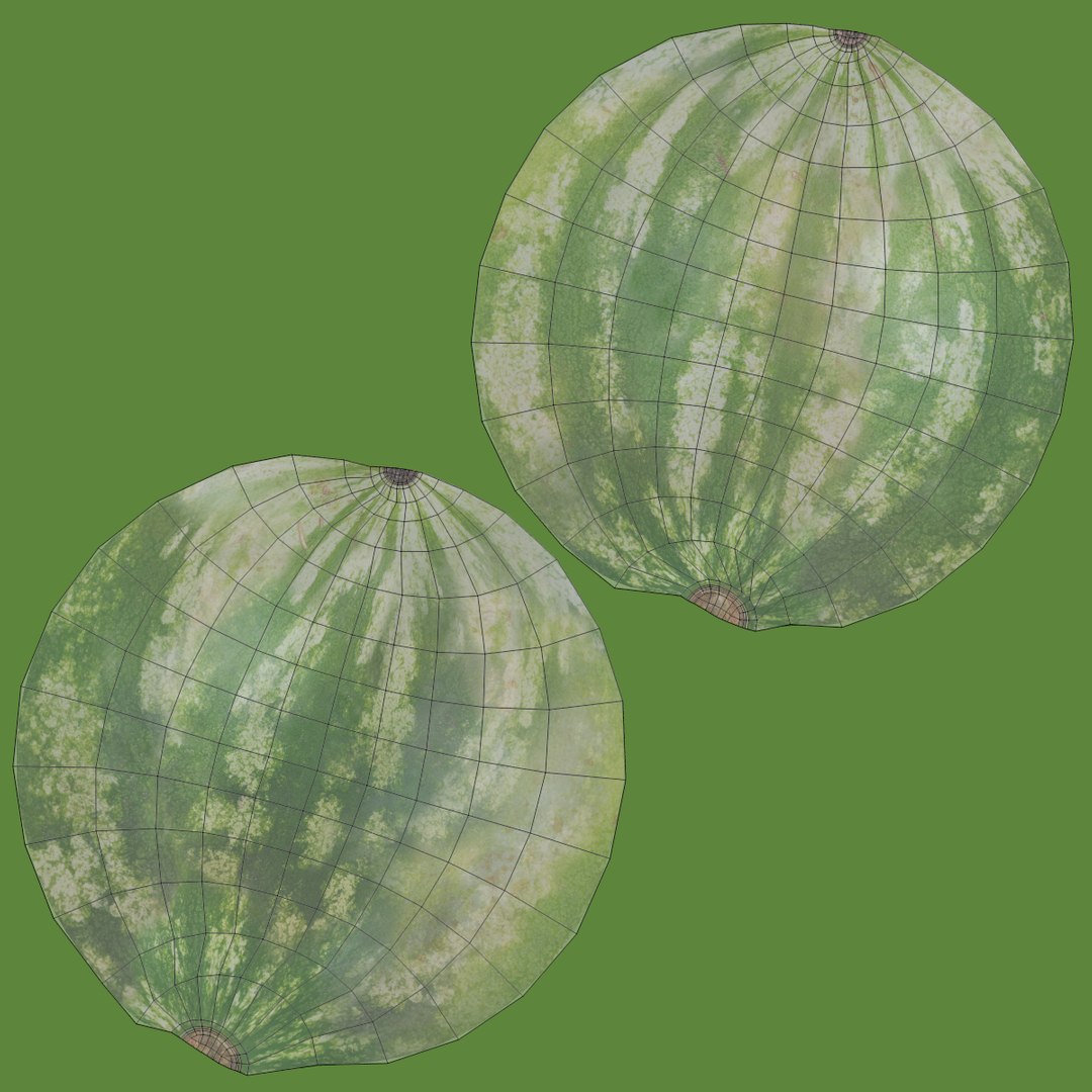 3D Model Melon Watermelon - TurboSquid 1206110