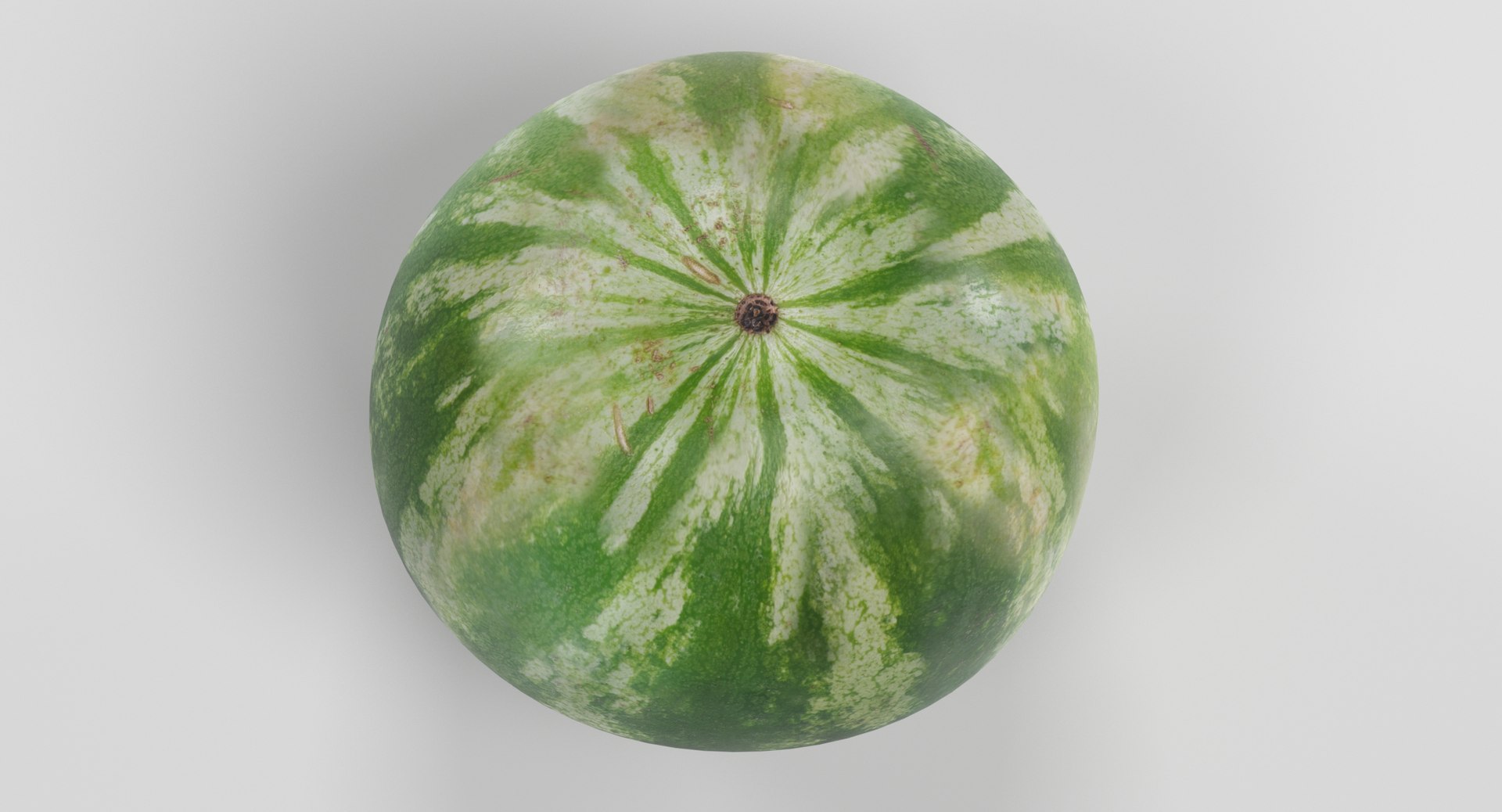 3D Model Melon Watermelon - TurboSquid 1206110