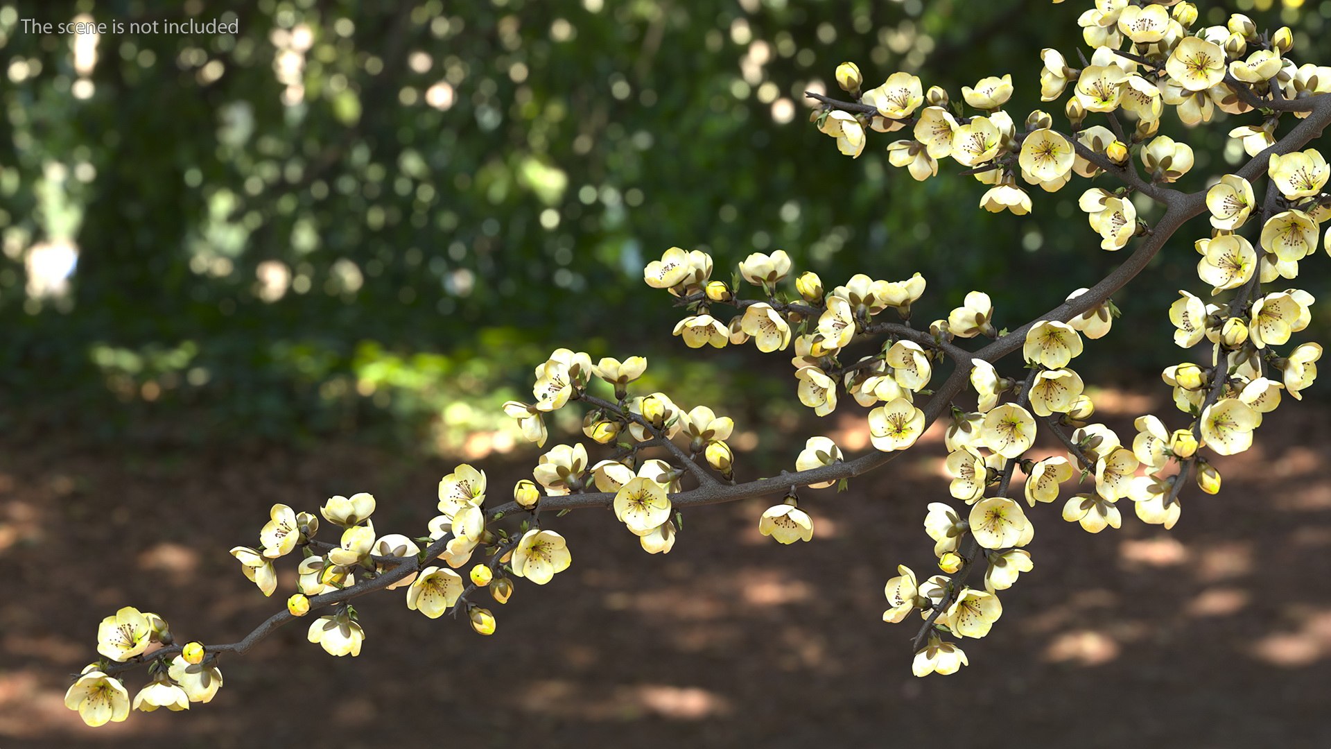 Yellow cherry blossom branch tree 3D model - TurboSquid 1628206