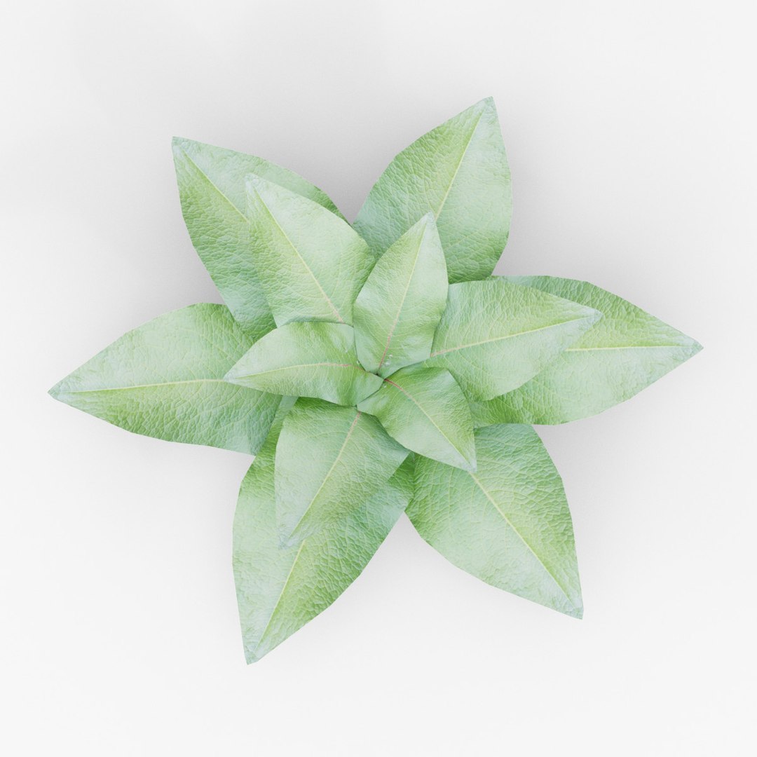 Leafy Plant 3D Model - TurboSquid 1737203