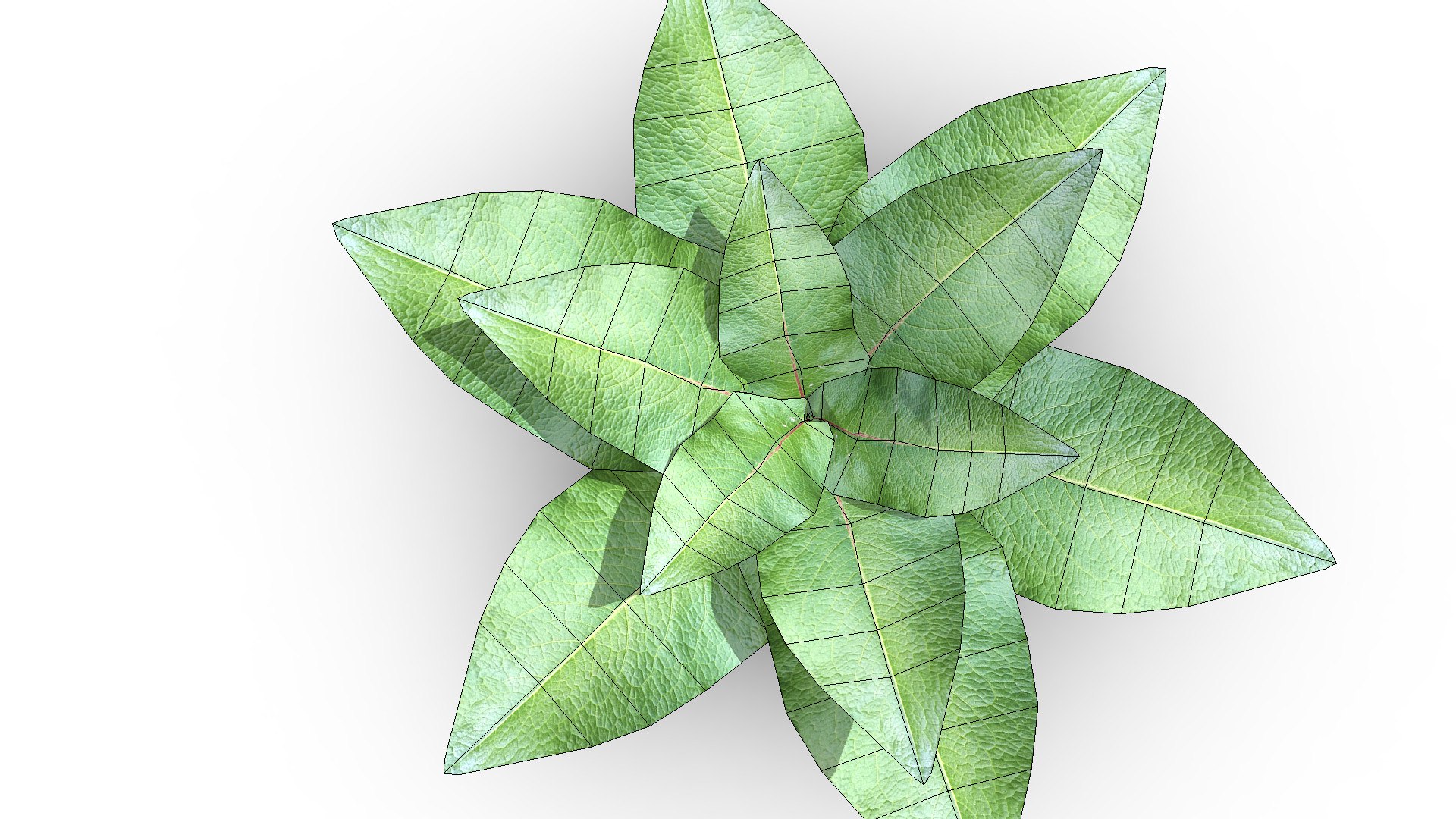 Leafy Plant 3D Model - TurboSquid 1737203