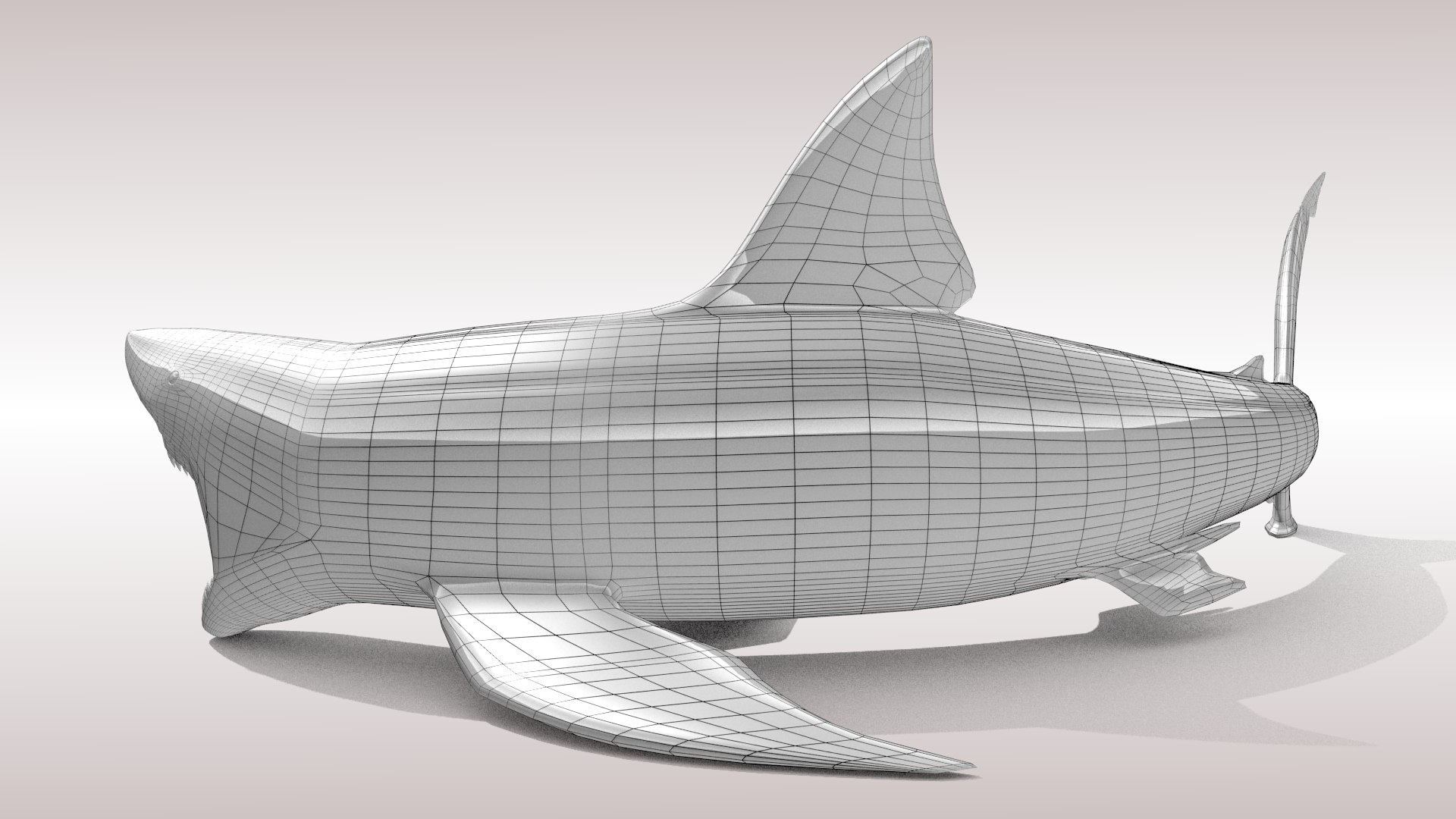 3d sofa shark