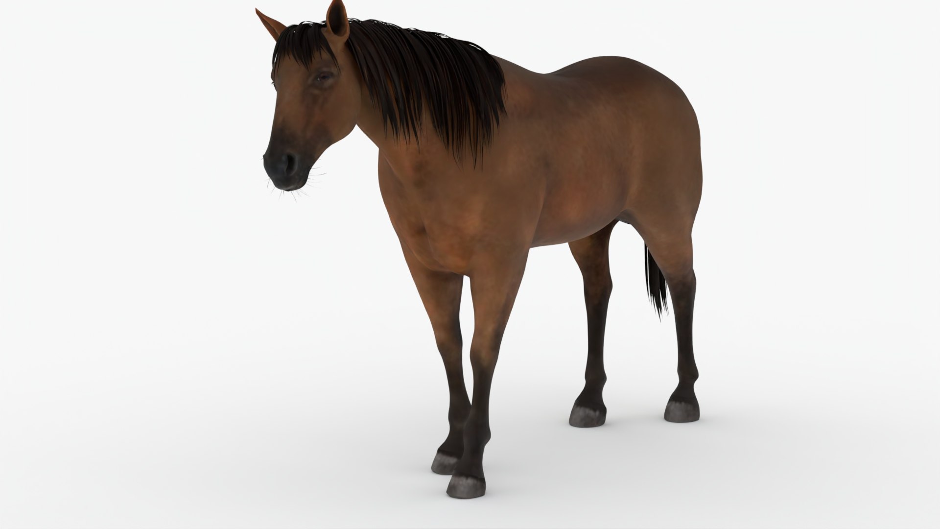 3D Model Horse - TurboSquid 1991400