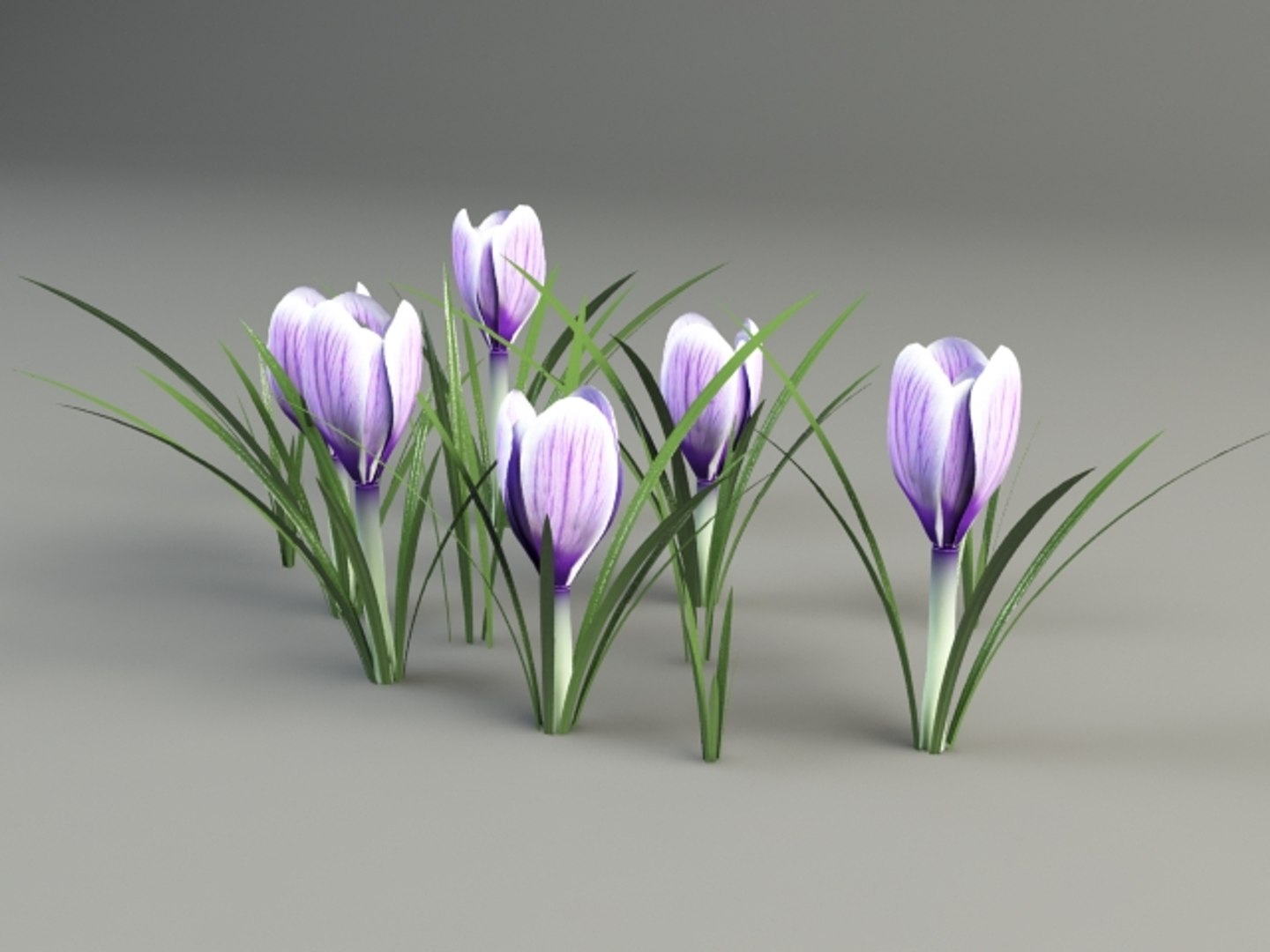 3ds max flower