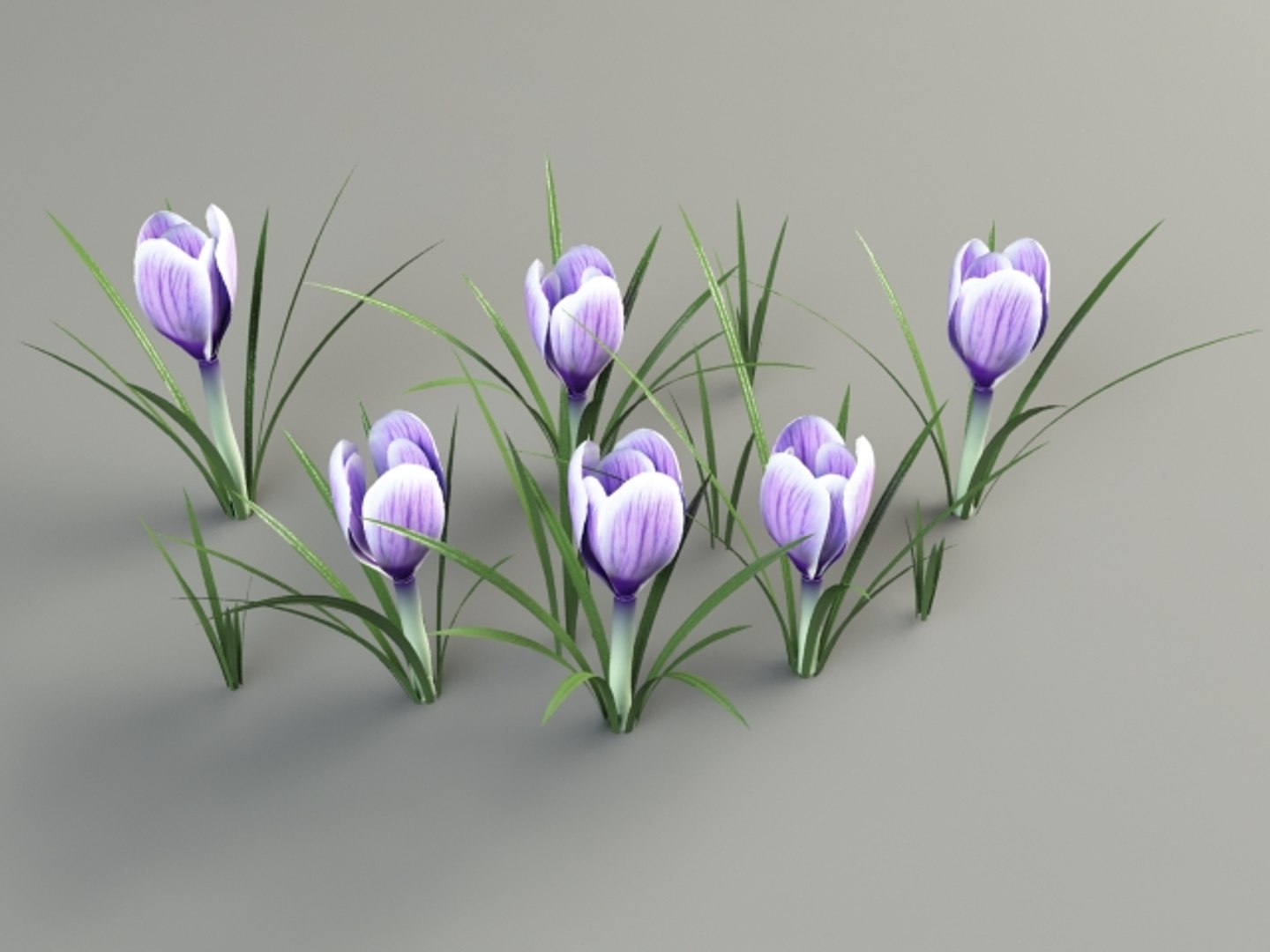 3ds max flower