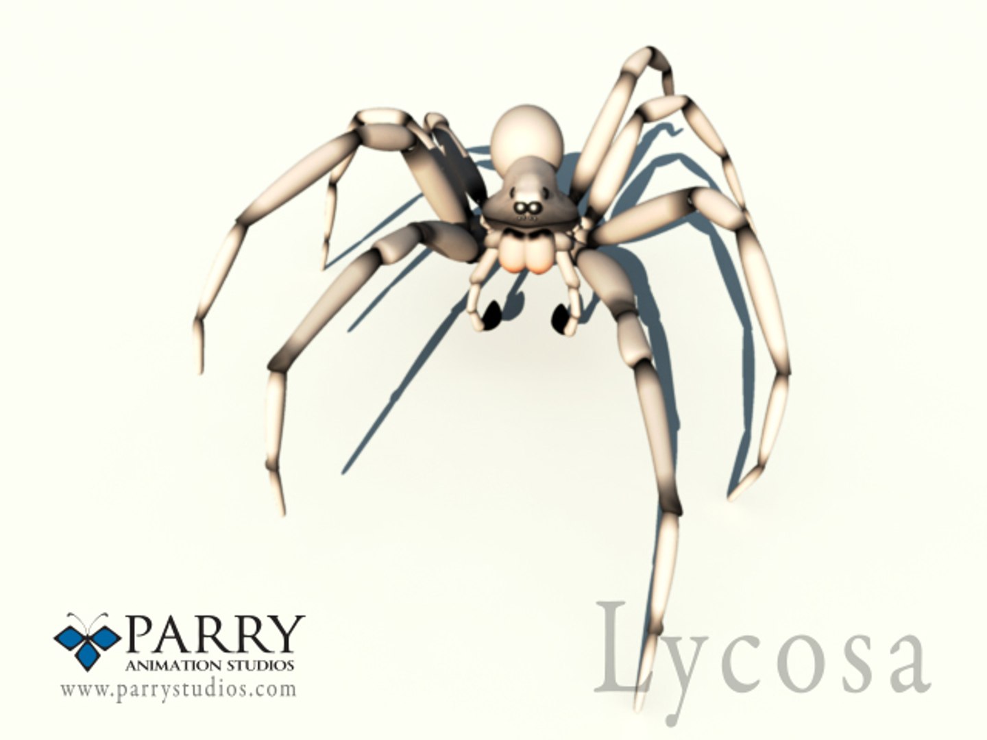 Maya Lycosa Spider