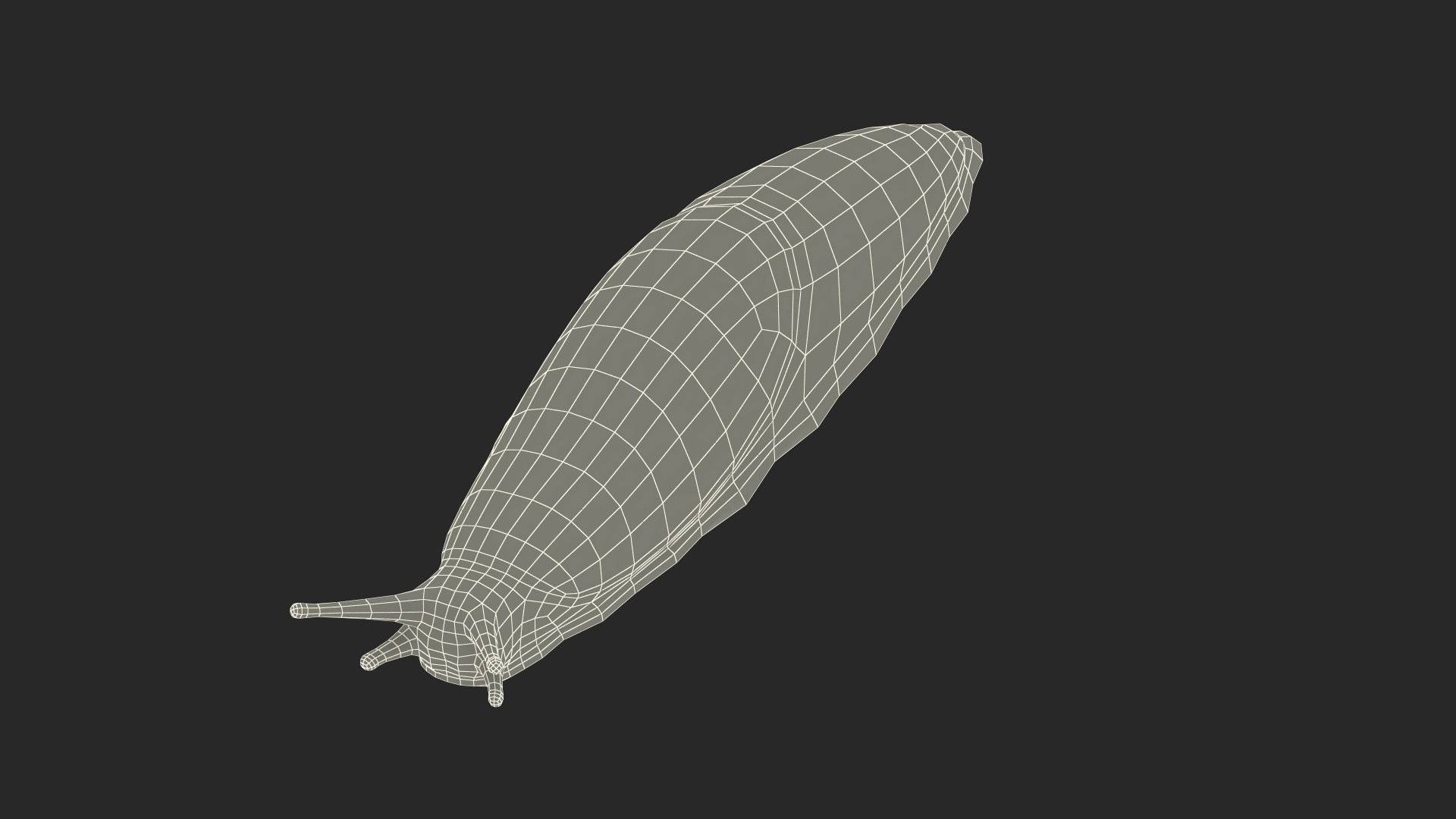 3D Model Spanish Slug Rigged For Modo - TurboSquid 2018614