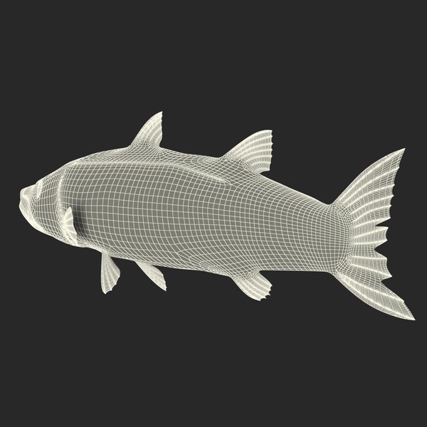 3d model barracuda fish
