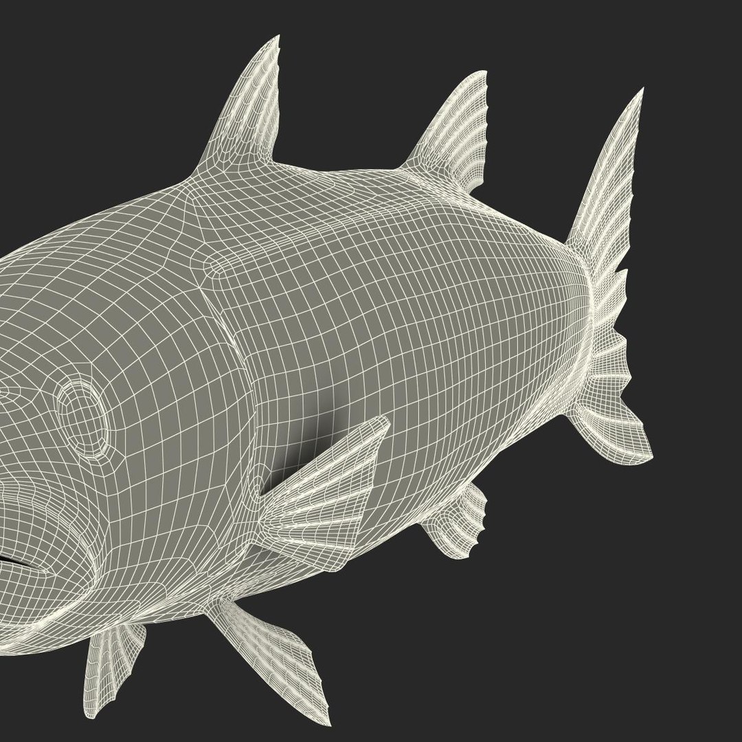 3d Model Barracuda Fish