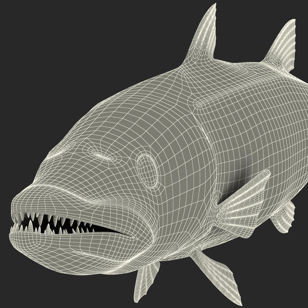 3d Model Barracuda Fish