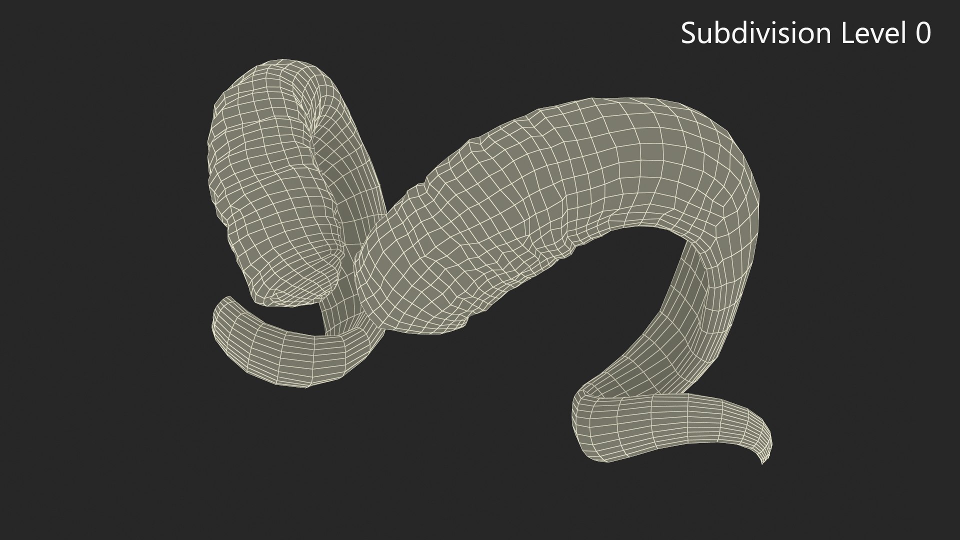 Sawed Off Old Ram Horns 3D Model - TurboSquid 2325080