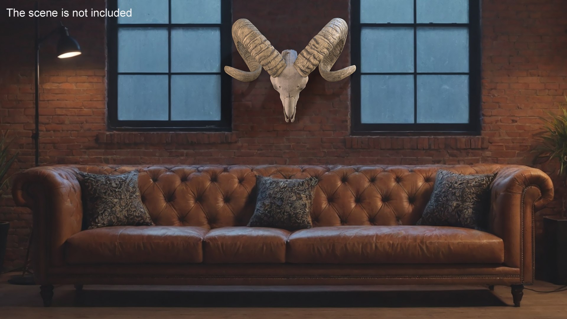 Sawed Off Old Ram Horns 3D Model - TurboSquid 2325080