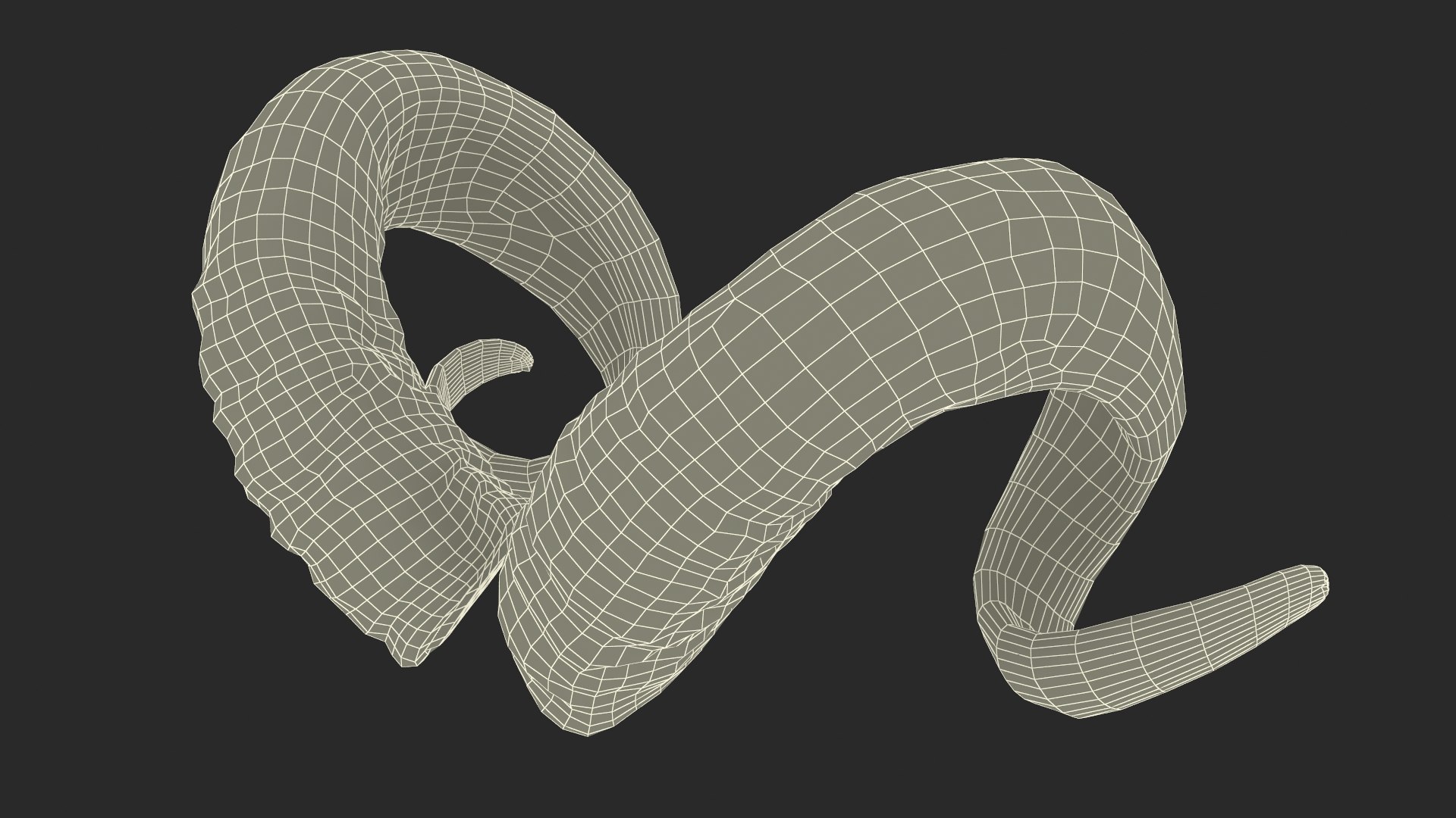 Sawed Off Old Ram Horns 3D Model - TurboSquid 2325080