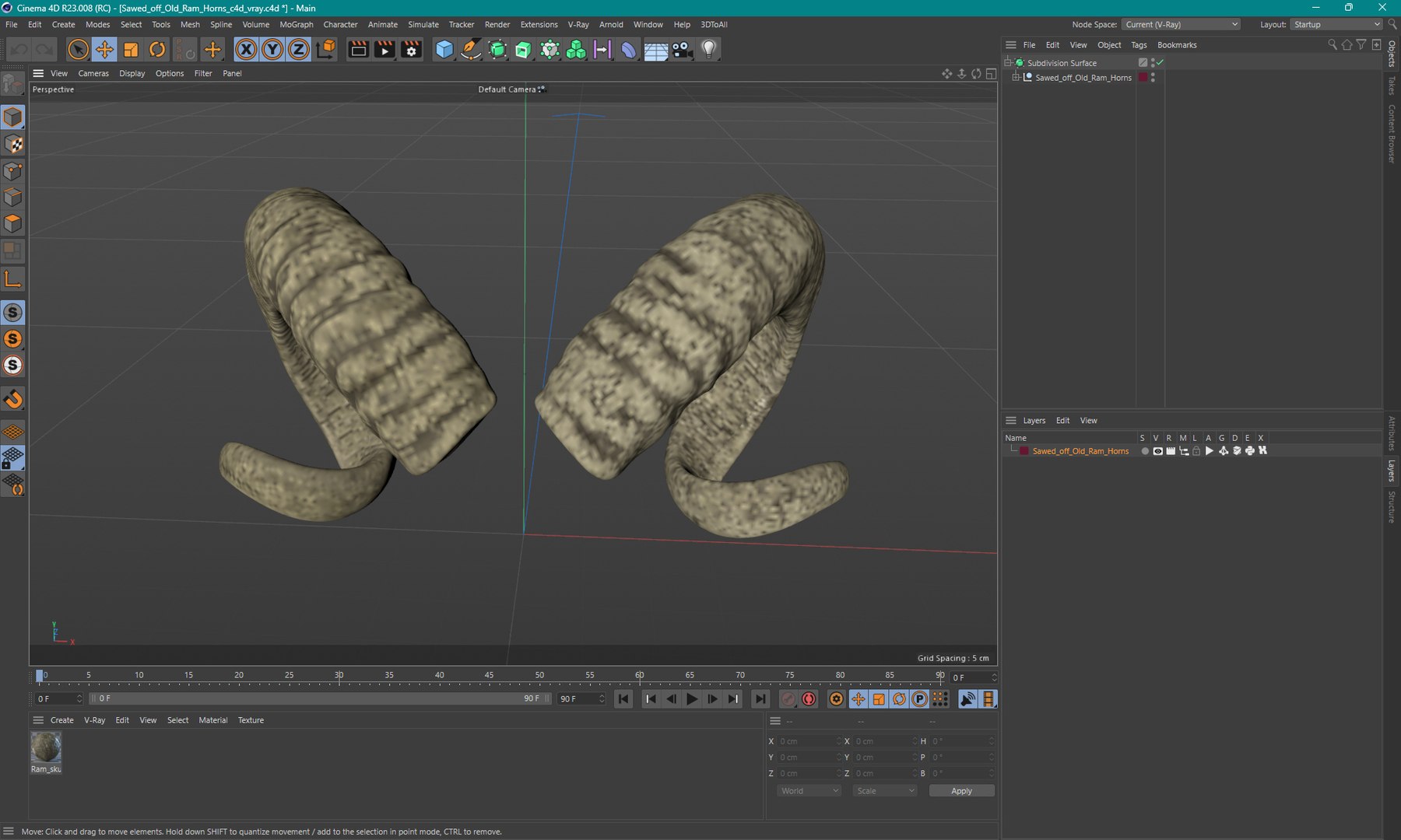 Sawed Off Old Ram Horns 3D Model - TurboSquid 2325080