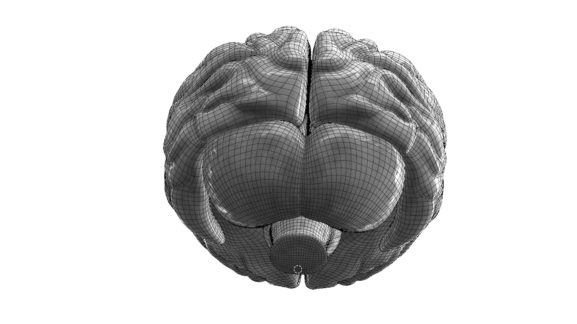 Brain 3D Model - TurboSquid 2109410