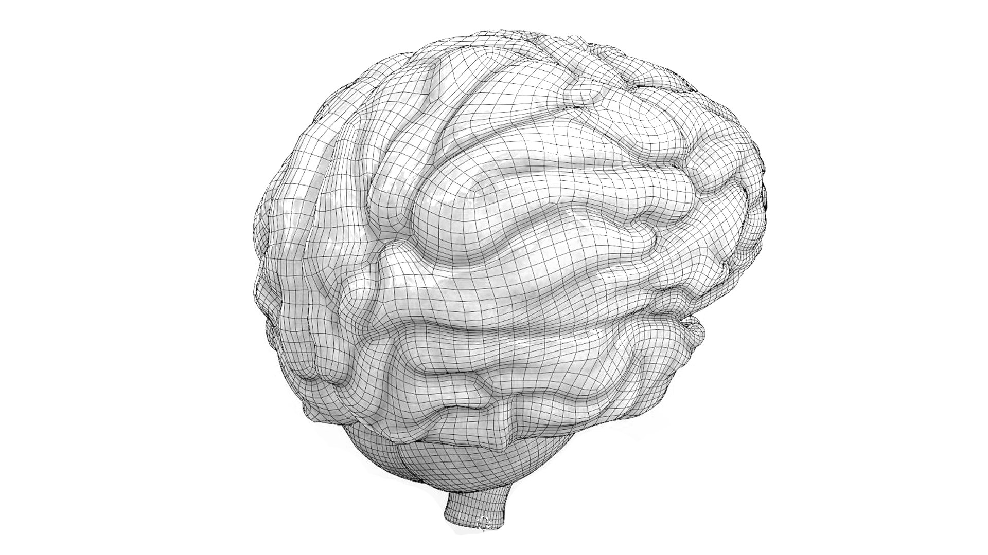 Brain 3D Model - TurboSquid 2109410