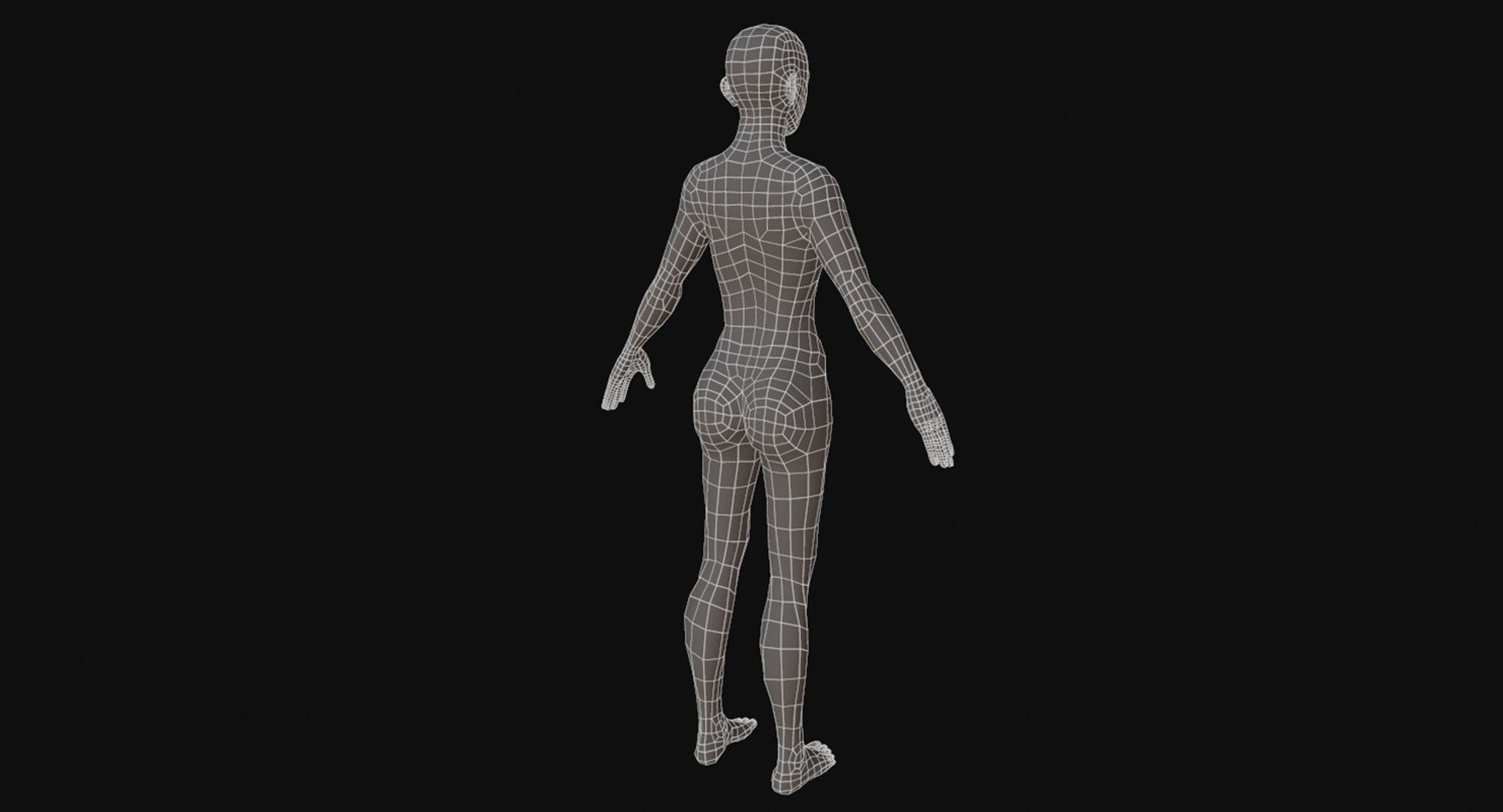 3d Human Female Muscular