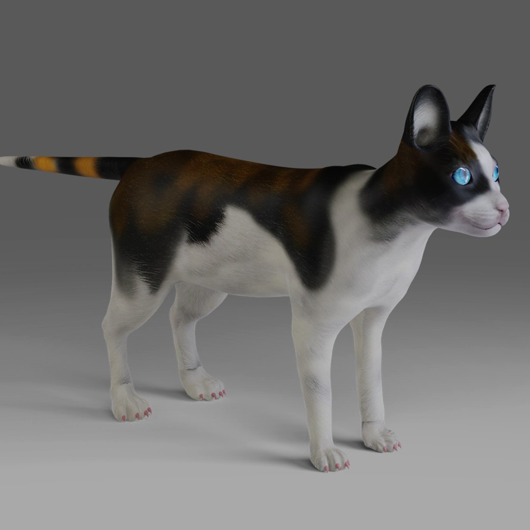 Calico Cat NO Rigged In Blender 3D - TurboSquid 1984985