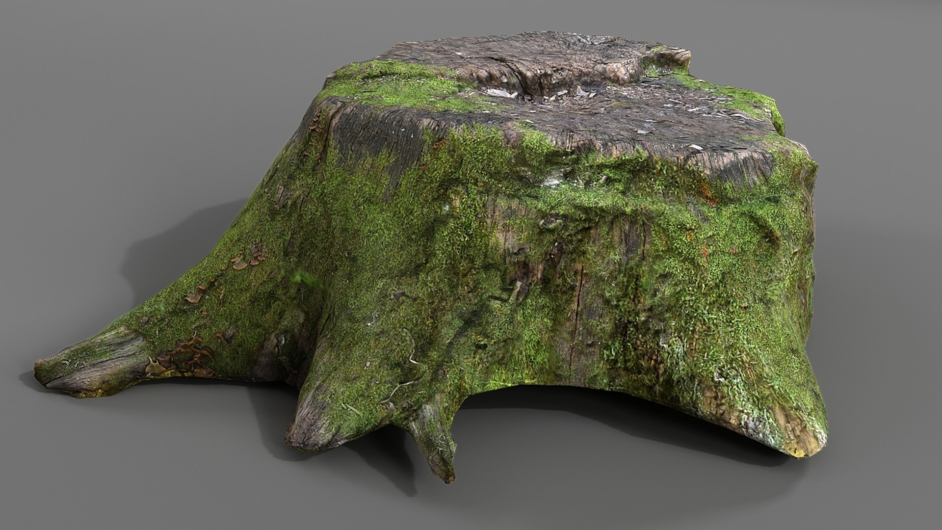 3D Model Realistic Stump - TurboSquid 1343696