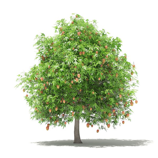 Free 3D Mango-Tree Models | TurboSquid