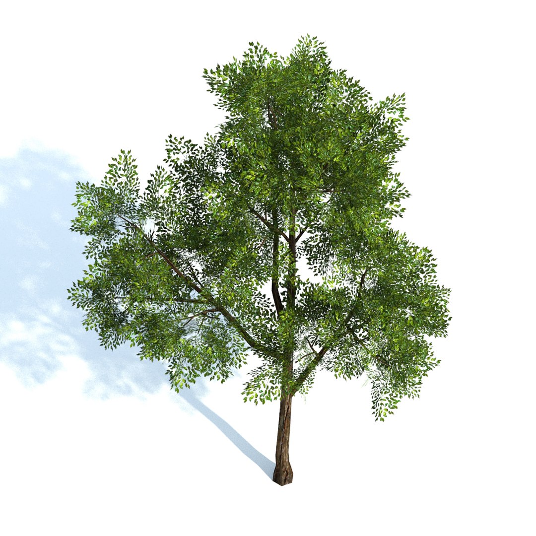Max Generic Tree