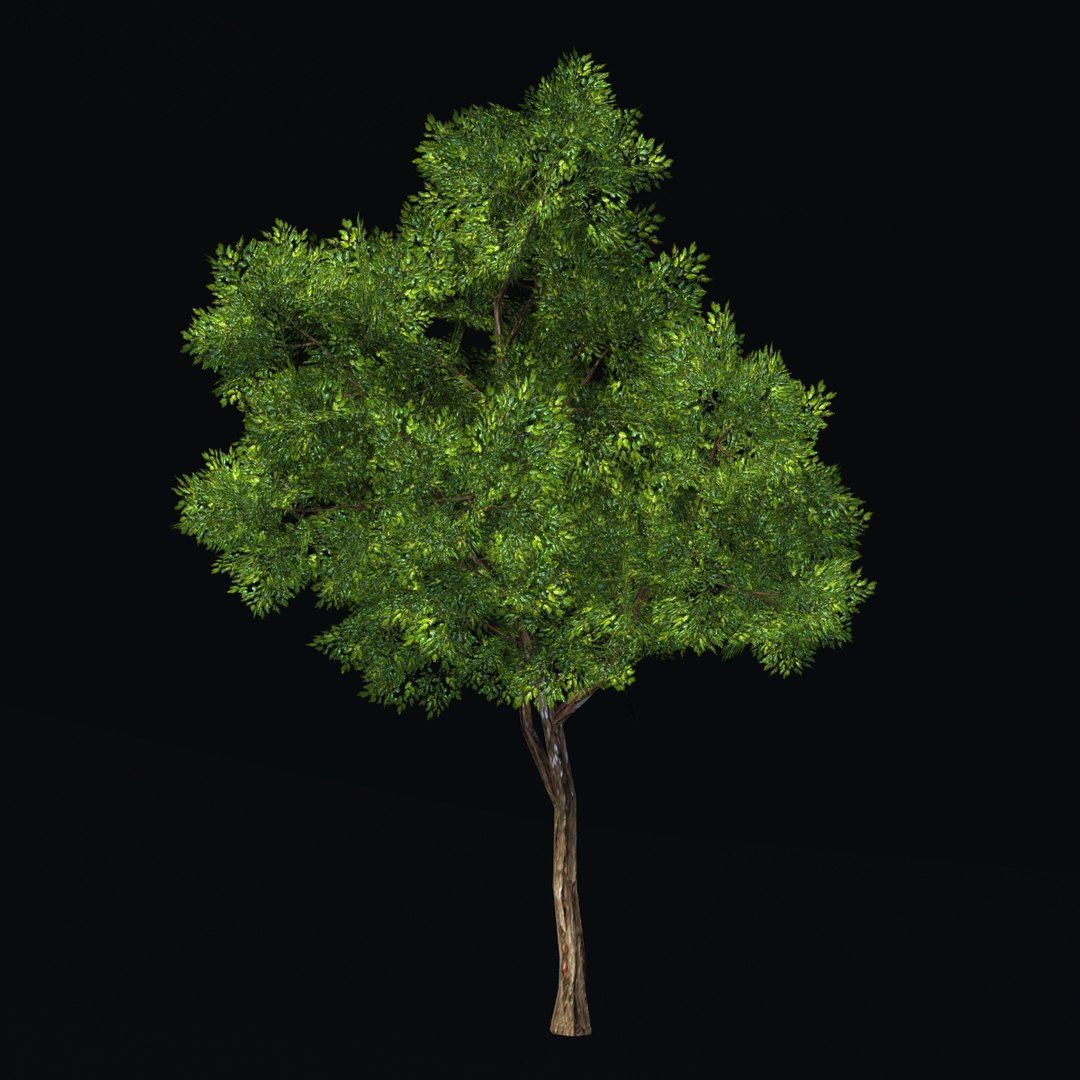 Max Generic Tree