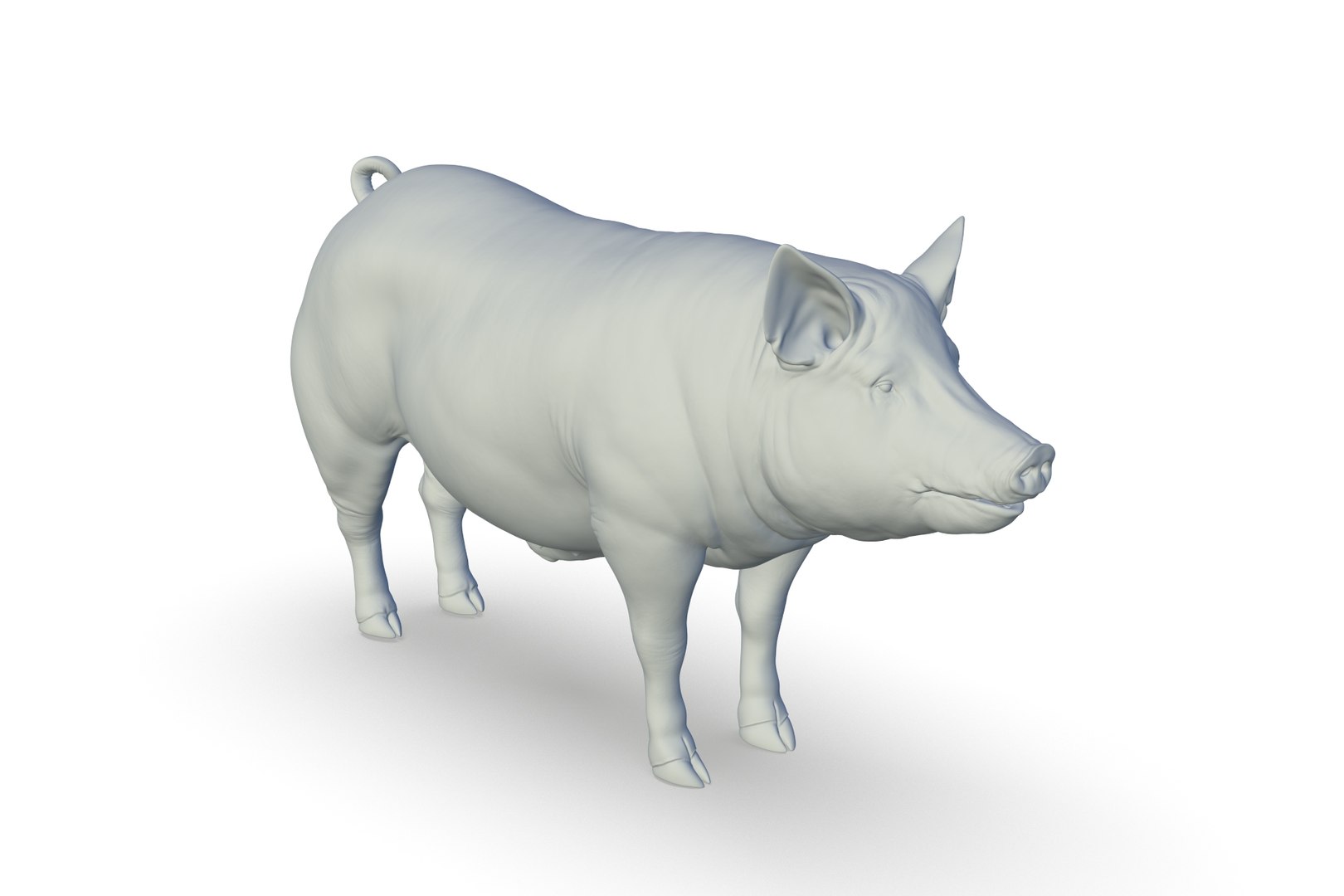 3D Pig Model - TurboSquid 2208433
