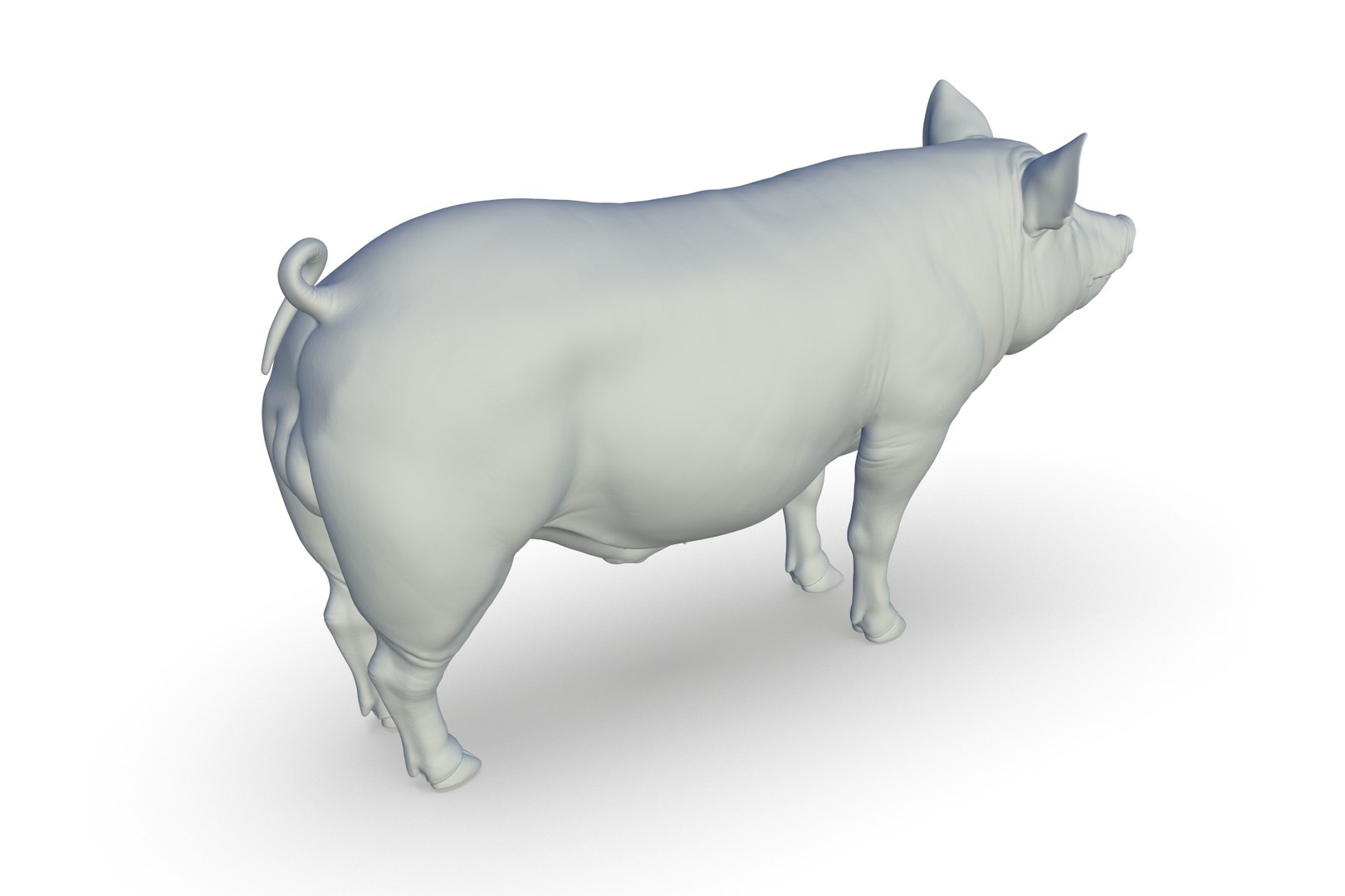 3D Pig Model - TurboSquid 2208433
