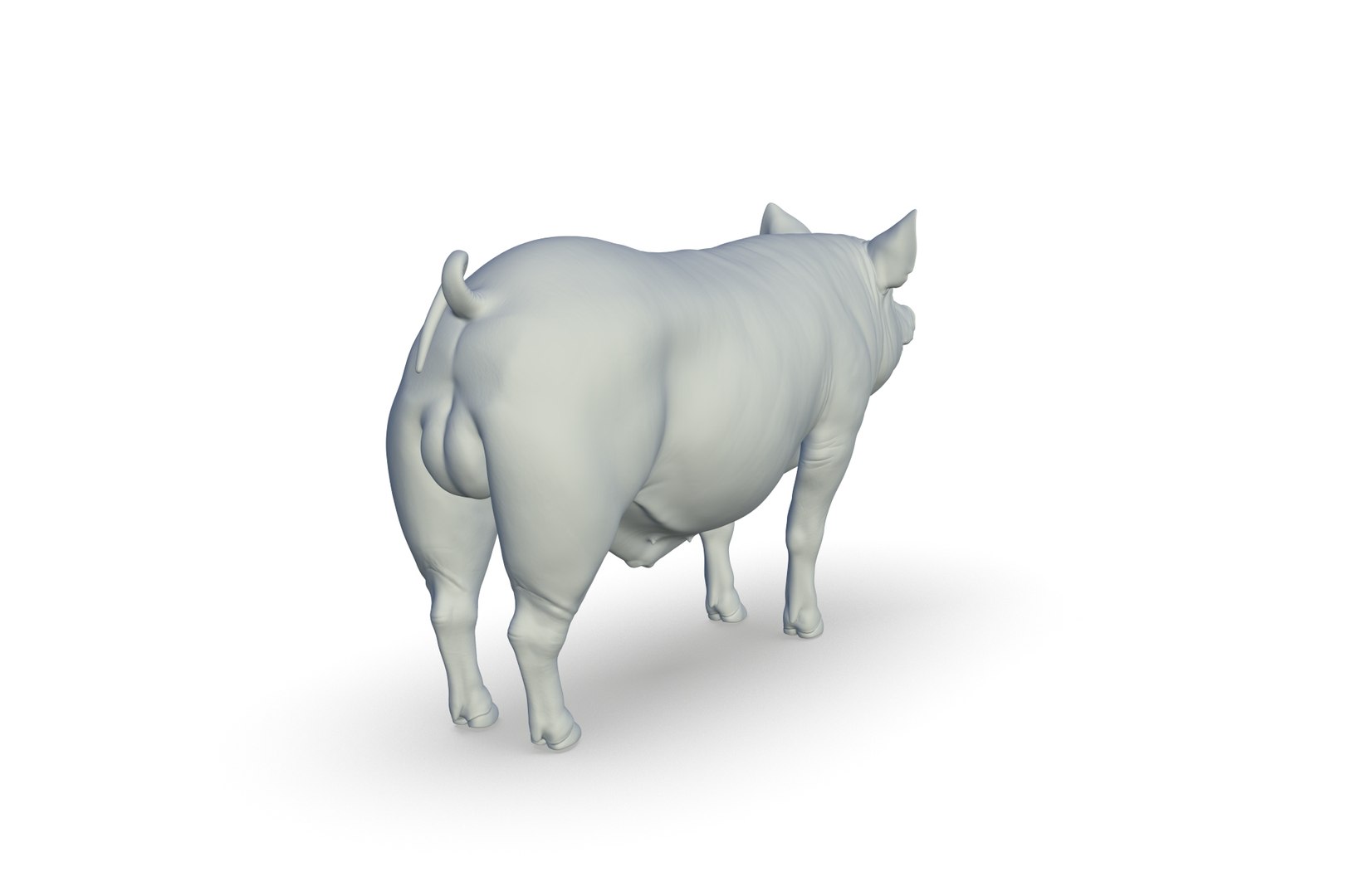 3D Pig Model - TurboSquid 2208433