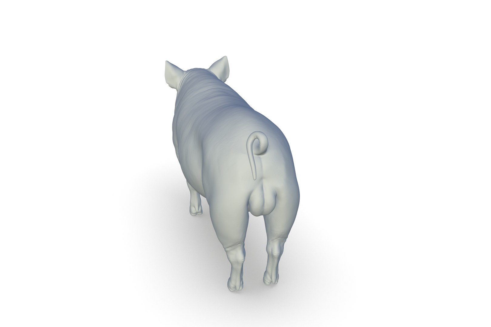 3D Pig Model - TurboSquid 2208433