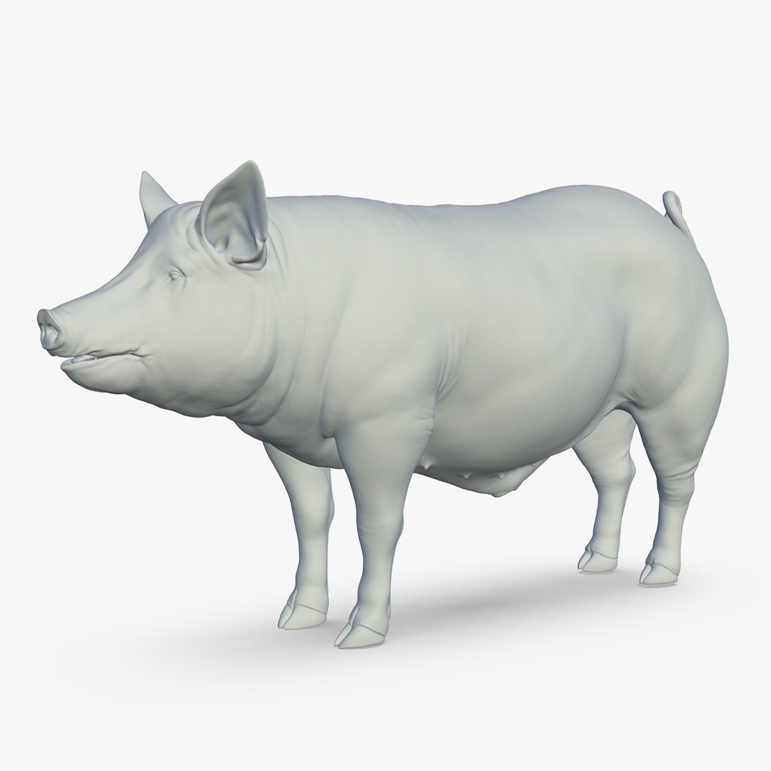 3D Pig Model - TurboSquid 2208433