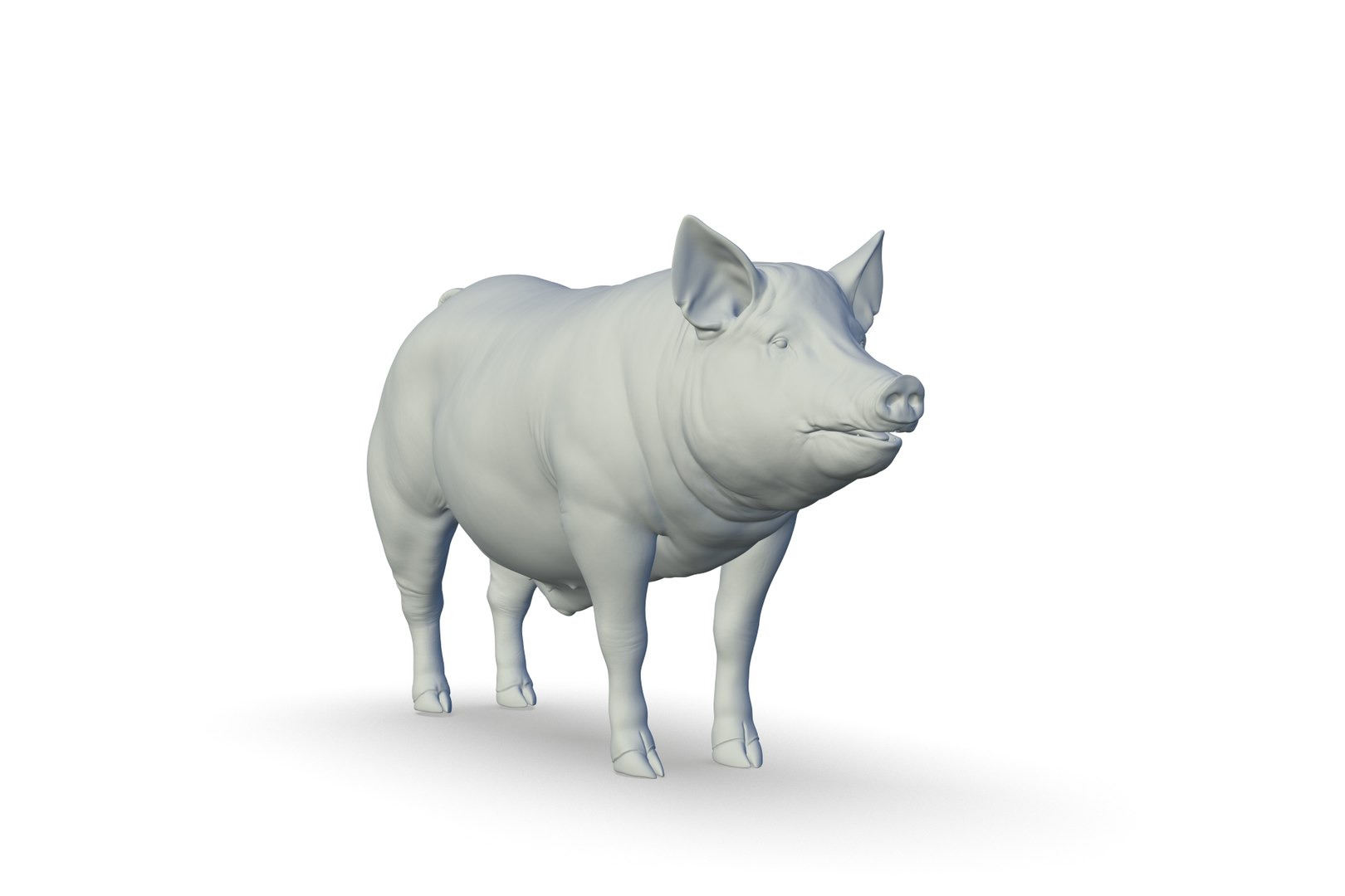 3D Pig Model - TurboSquid 2208433