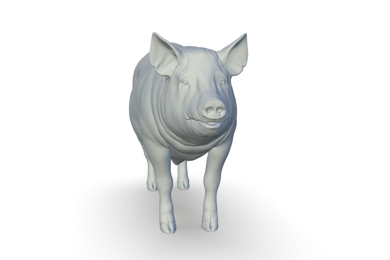 3D Pig Model - TurboSquid 2208433