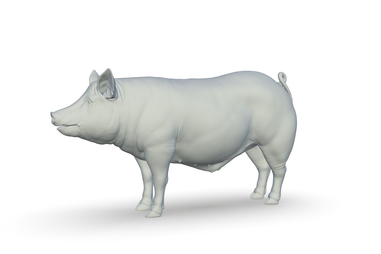 3D Pig Model - TurboSquid 2208433
