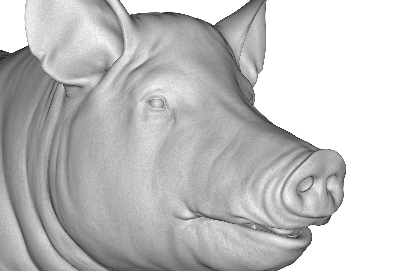 3D Pig Model - TurboSquid 2208433