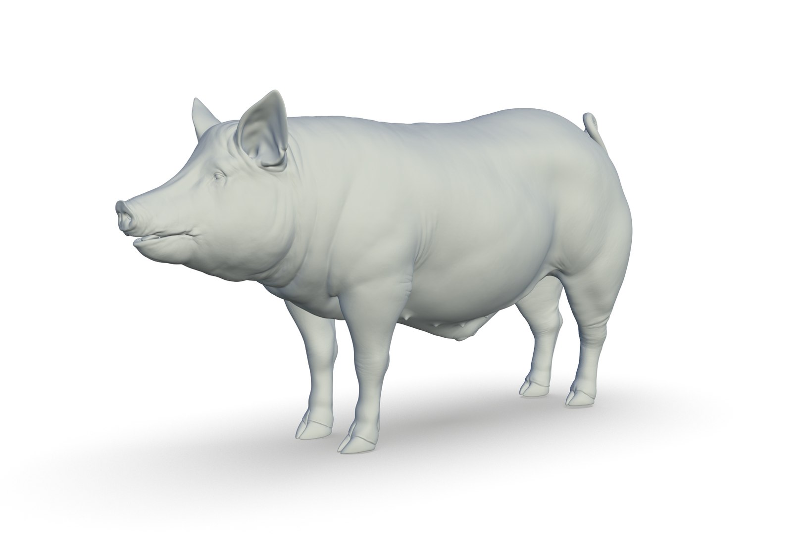 3D Pig Model - TurboSquid 2208433